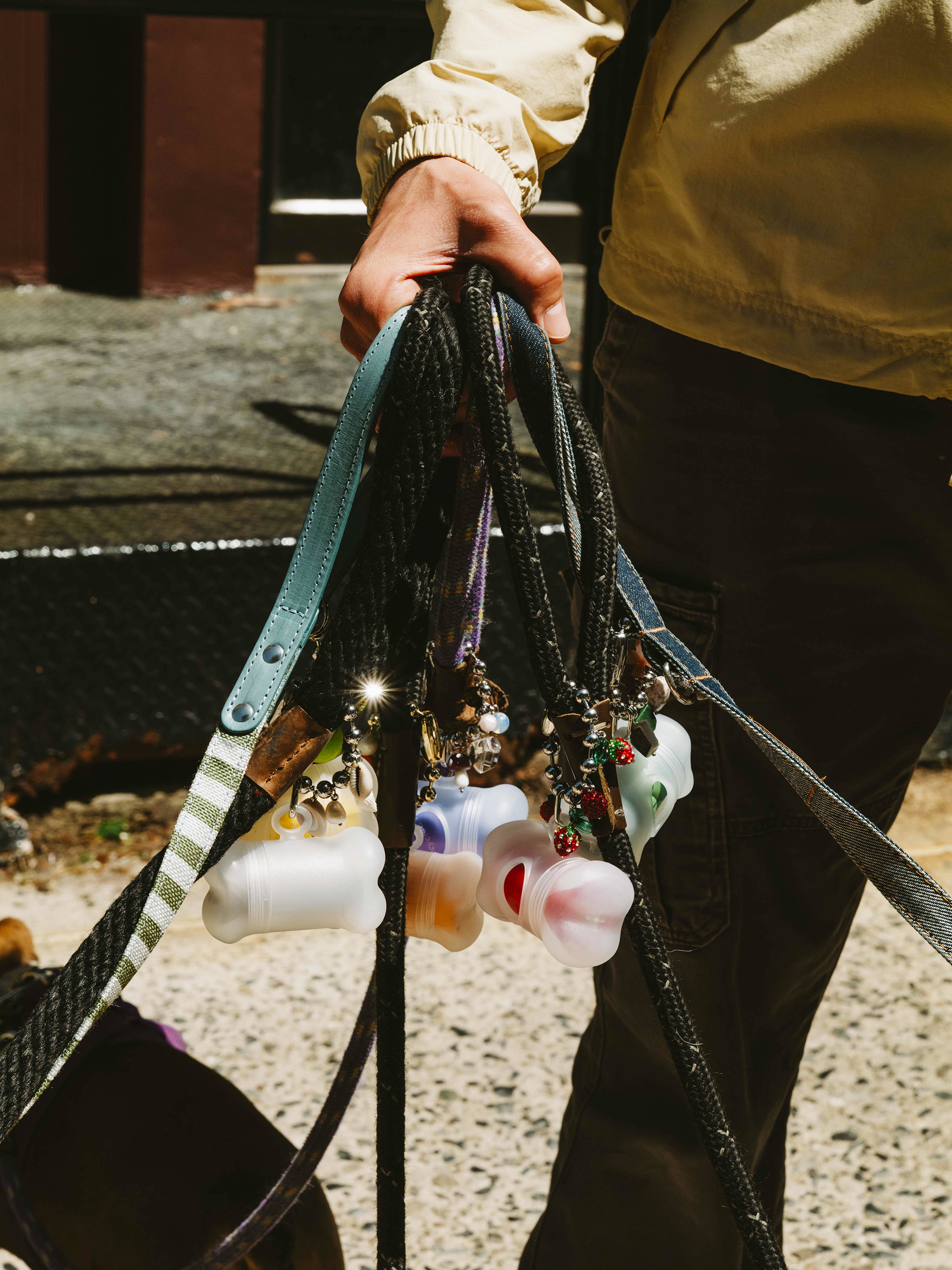 PET ACCESSORIES – OSSA NEW YORK